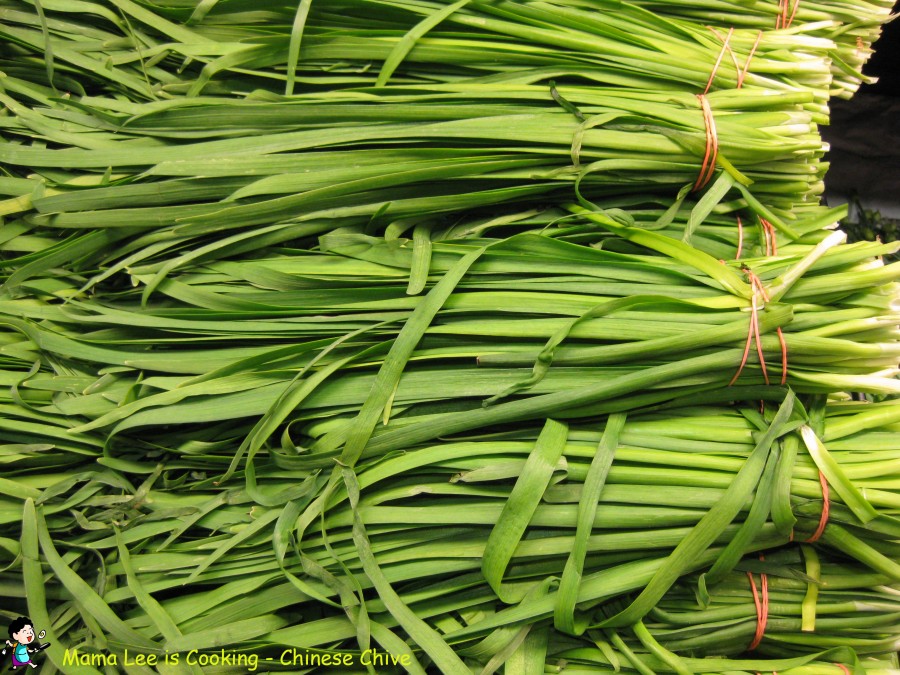 Chinese Chive – Mama Lee is Cooking （咱家小饭桌）