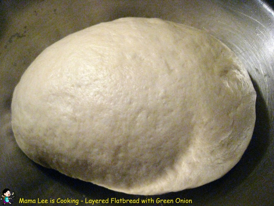 Layered Flat Bread with Green Onion – Mama Lee is Cooking （咱家小饭桌）